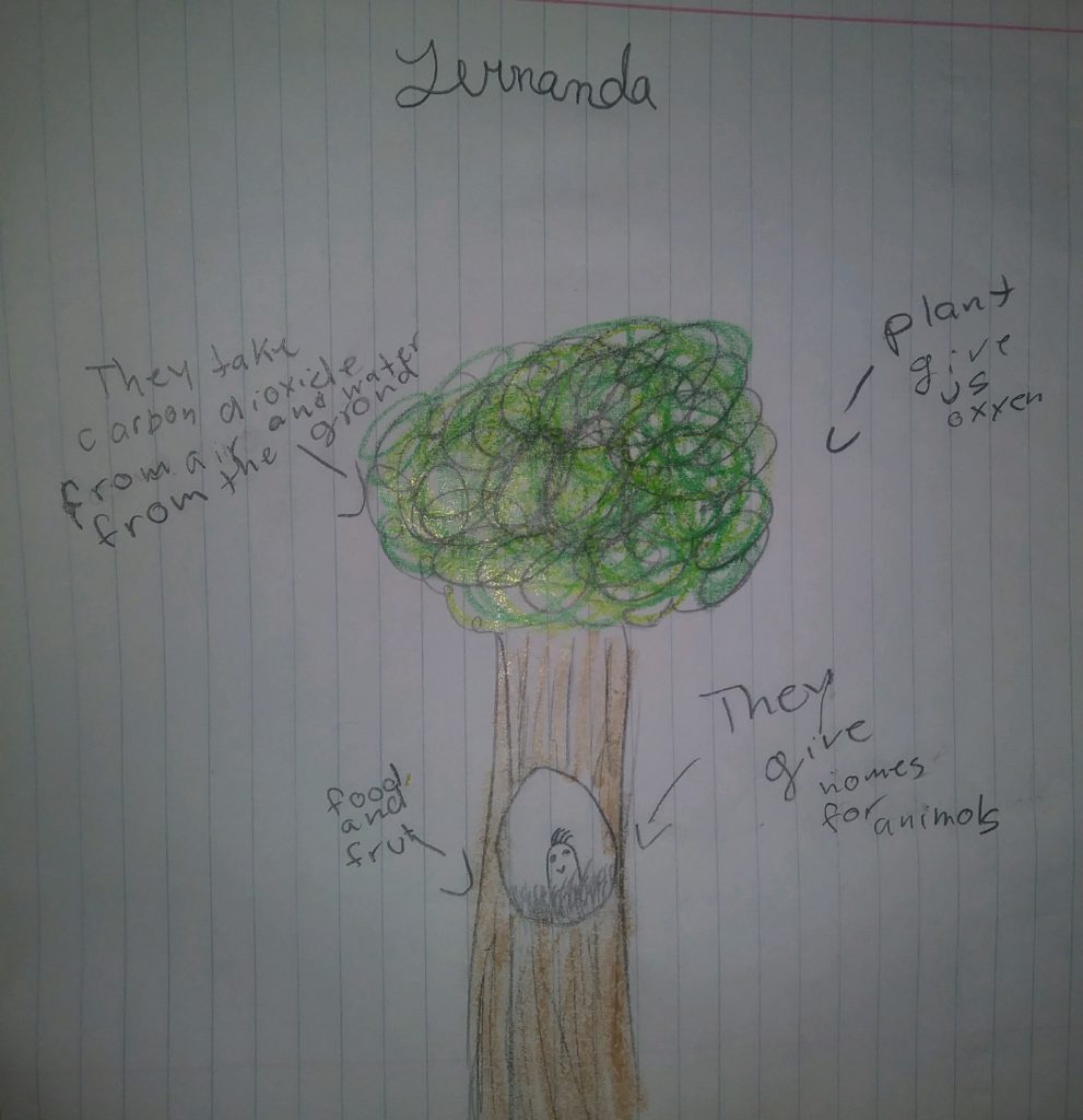 Grant Updates - PESI Tucson